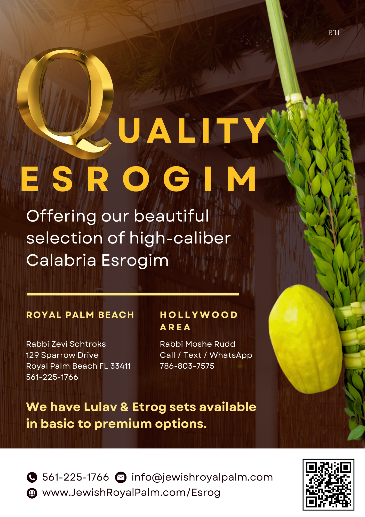 Purchase a Lulav and Etrog - JewishRoyalPalm.com
